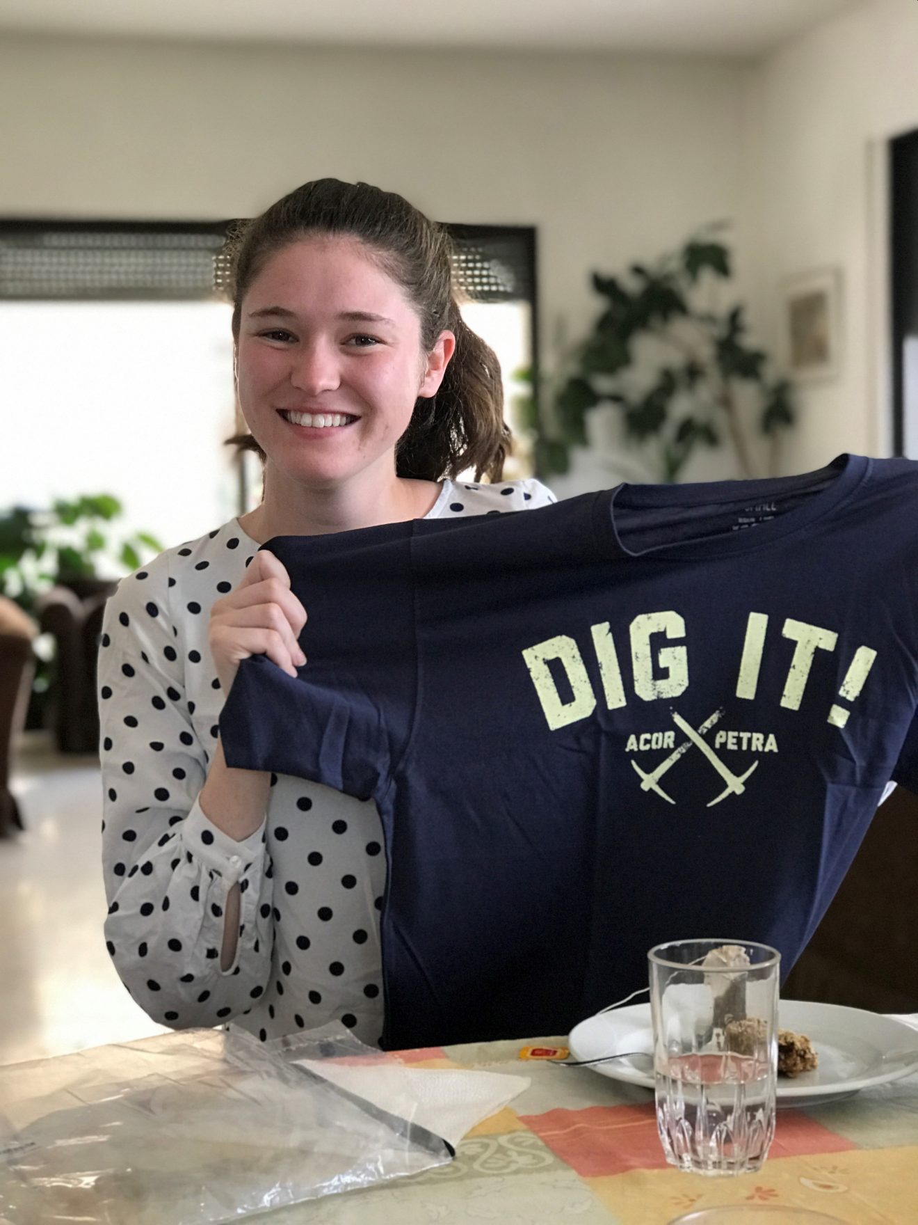 The Temple of the Winged Lions: Preserving and Presenting History ...