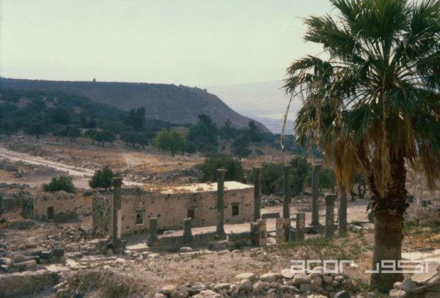CRM in Jordan Project (1986-1995) - Acor Jordan