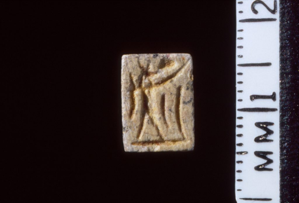 Images from a Lifetime Dedicated to Archaeology: The Paul and Nancy ...